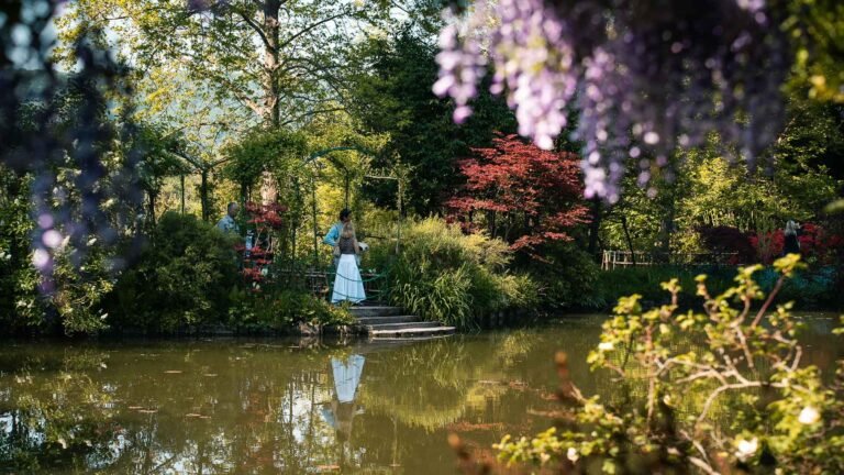 The Complete List of Plants and Flowers in Claude Monet’s Garden at ...